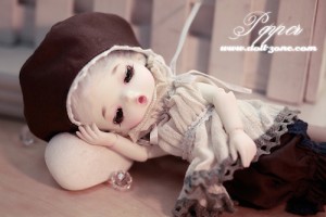 Thyme, Pepper, Vanilla & Ginger – BJD Collectasy