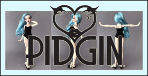 ~Pidgin Doll~ – BJD Collectasy