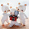 Poi Bear Pre-order – BJD Collectasy