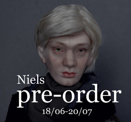 Niels Head – BJD Collectasy