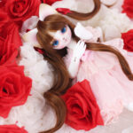 Dear Mine Summer 2023 Dolls – BJD Collectasy